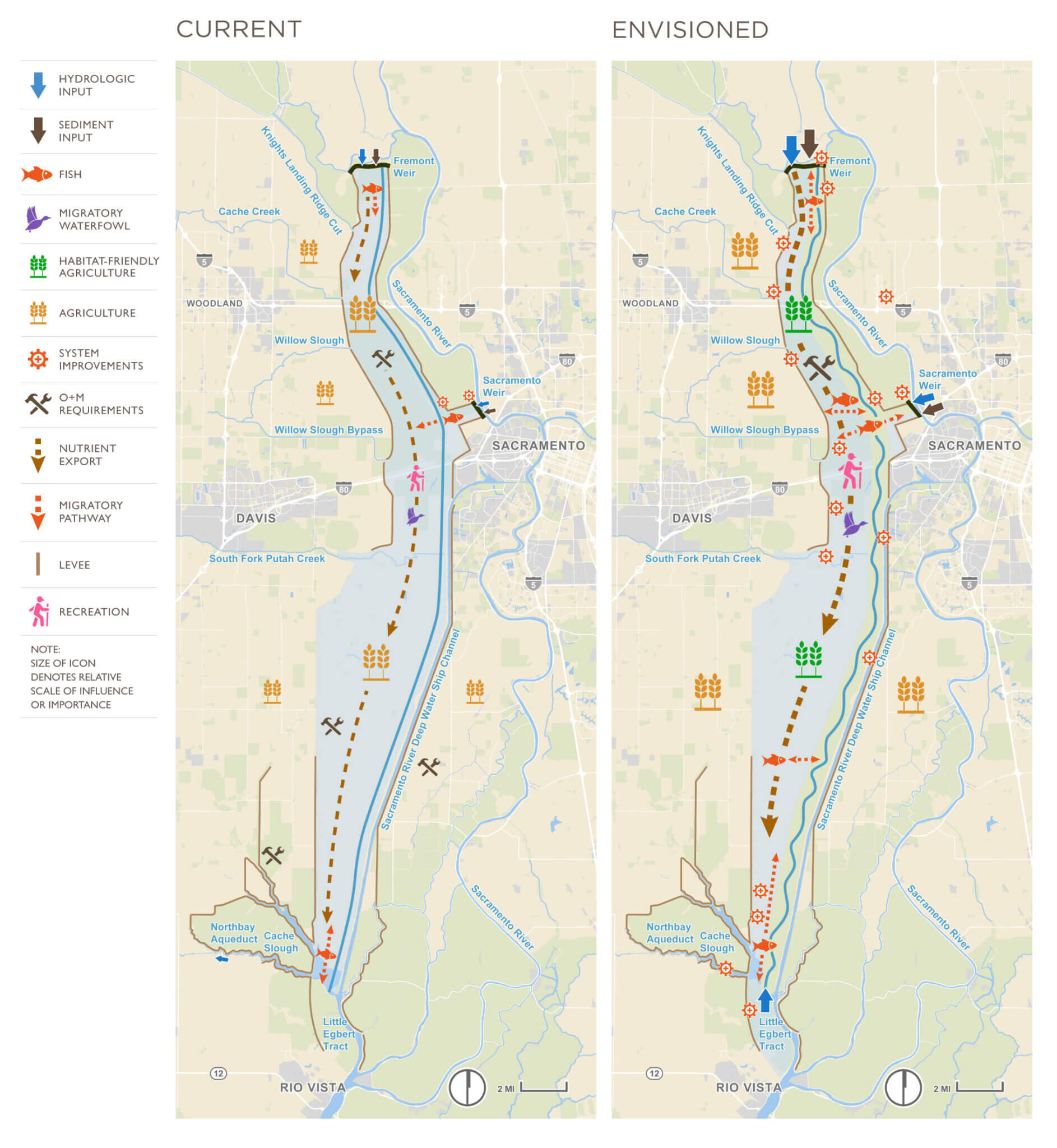 Yolo Bypass Cache Slough Partnership - ybcsp